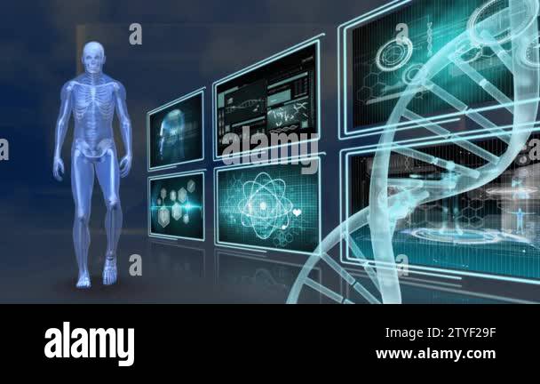 Digital animation of front view of human anatomy walking and double ...