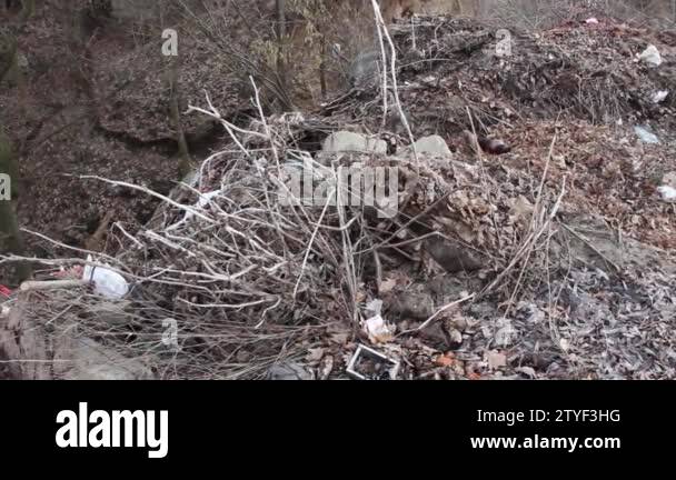 Modern civilization Stock Videos & Footage - HD and 4K Video Clips - Alamy