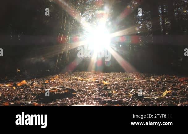 Creep man Stock Videos & Footage - HD and 4K Video Clips - Alamy