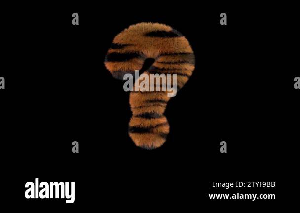 3D animated furry hairy zoo tiger text typeface with alpha channel ...