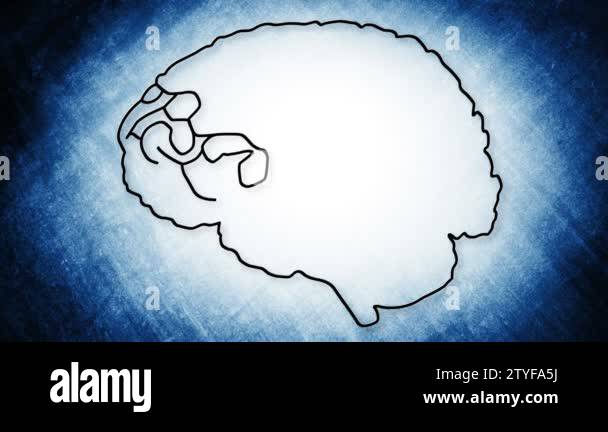 Human Brain Animation Stock Video Footage - Alamy
