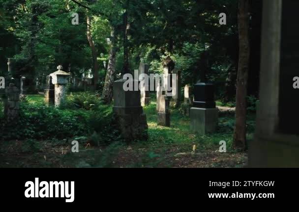 Misterious Walk around graves in European old cemetry Stock Video ...