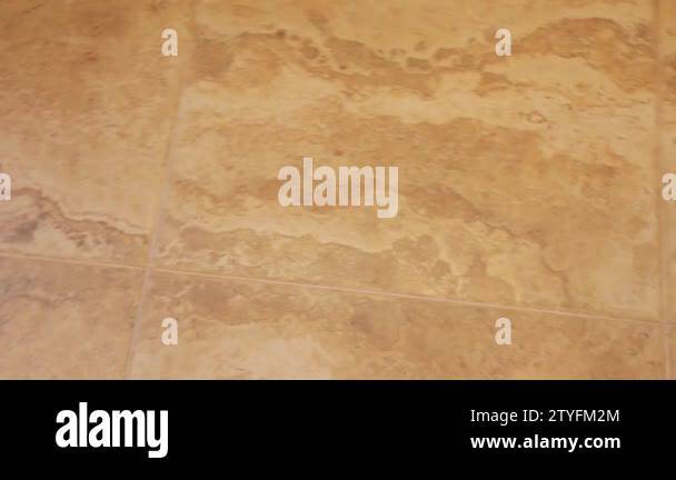 Daylight texture Stock Videos & Footage - HD and 4K Video Clips - Alamy