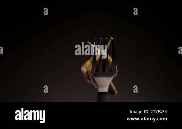 Snail edible shell fork Stock Videos & Footage - HD and 4K Video Clips ...