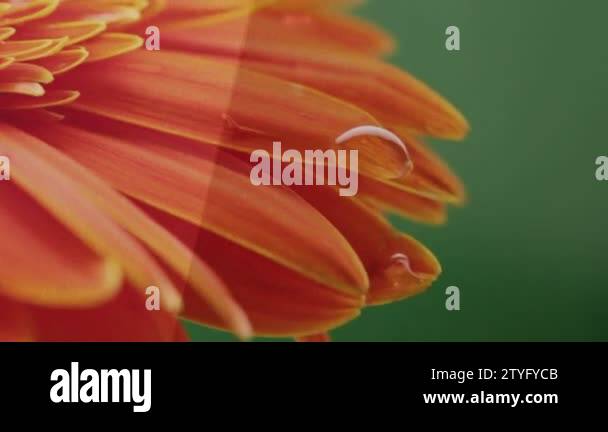 Object comparison Stock Videos & Footage - HD and 4K Video Clips - Alamy