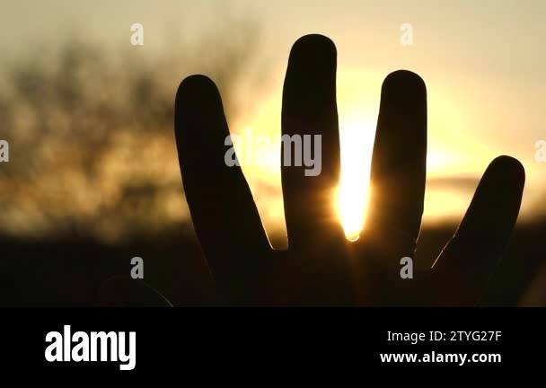 The suns rays at sunset shine through the fingers Stock Video Footage ...
