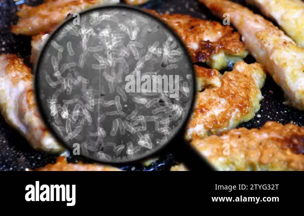Poultry bacteria Stock Videos & Footage - HD and 4K Video Clips - Alamy
