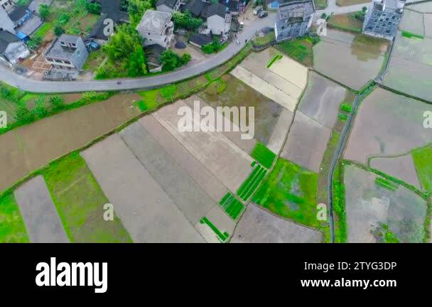 Aerial view, green rice and vegetable fields in poor village in China ...
