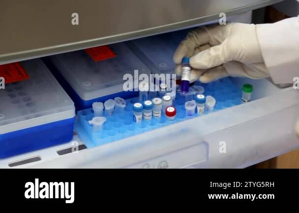 Pcr reaction Stock Videos & Footage - HD and 4K Video Clips - Alamy