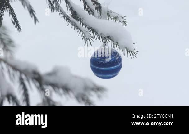 Ball on a branch of spruce in winter. Video snow and branch with a ball ...