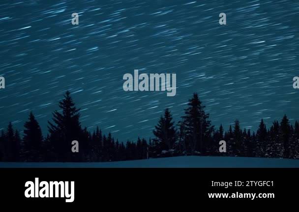 Starry sky in the background of fir trees. Moon rise. Leave traces in ...