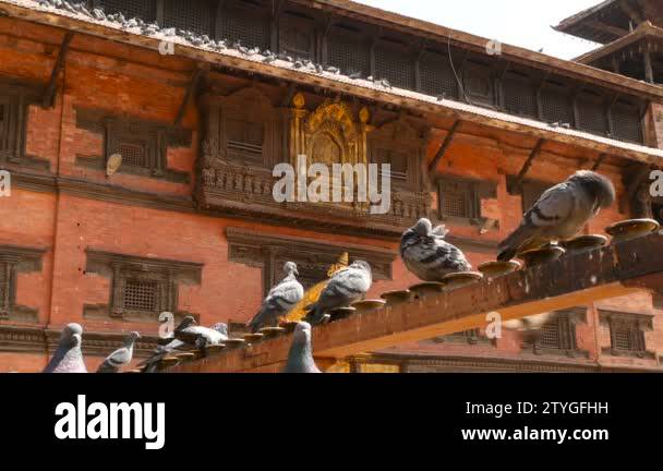 Exterior roof of beautiful Hindu temple. Exterior architecture with ...
