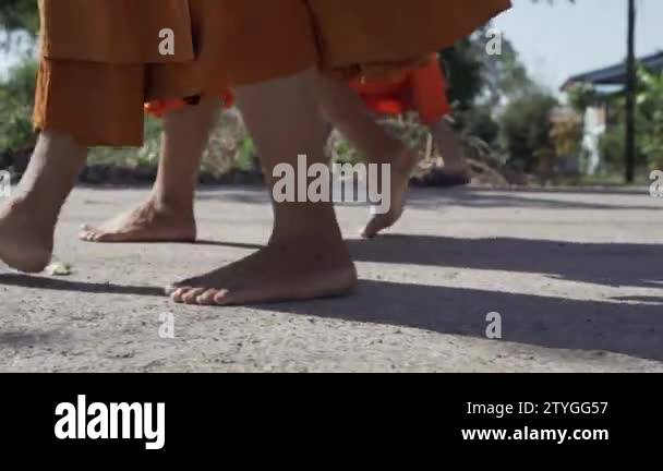 Thai monk walk Stock Videos & Footage - HD and 4K Video Clips - Alamy