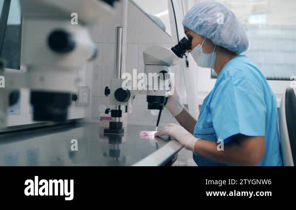 Female Doctor Works With Medical Microscope During Artificial Fertilization Artificial