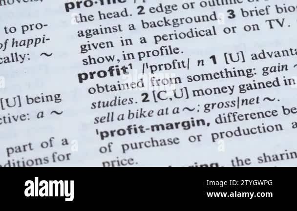 Profit, definition in english vocabulary, running successful business ...