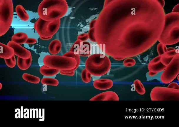 Animation of macro red blood cells spreading and floating with people ...