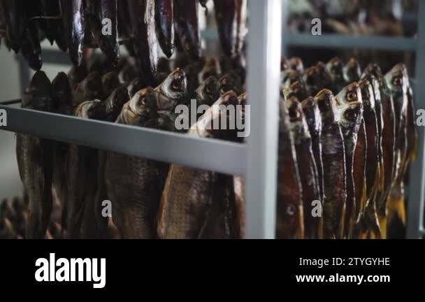 Drying cabinet Stock Videos & Footage - HD and 4K Video Clips - Alamy