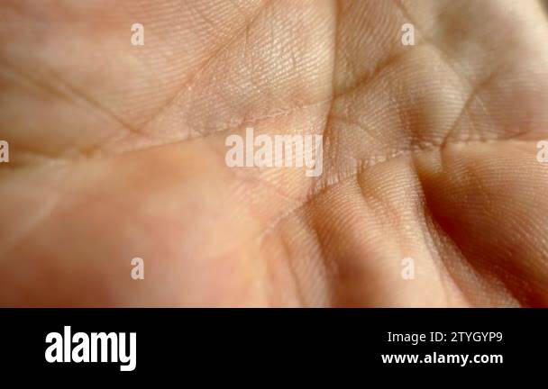 Leather on a man's hand. Bends of the palm. Skin texture of the hand ...