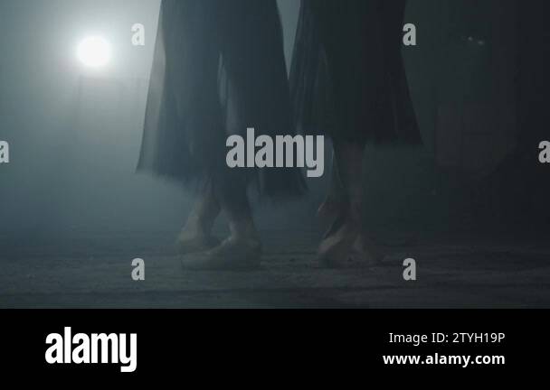 Female feet in pointe standing in pose in spotlight on a black ...