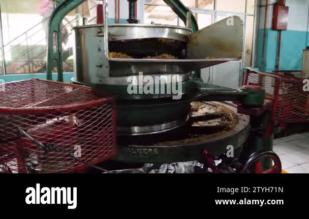 Tea processing rolling Stock Videos & Footage - HD and 4K Video Clips ...