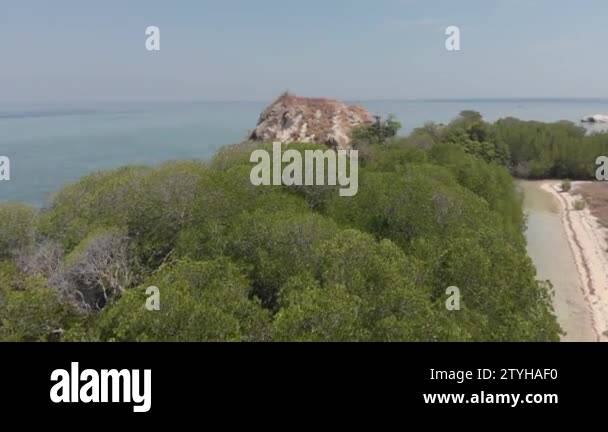 Mangrove formation Stock Videos & Footage - HD and 4K Video Clips - Alamy