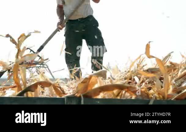 Farmer with a pitchfork Stock Videos & Footage - HD and 4K Video Clips ...