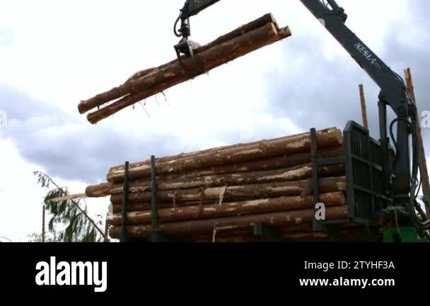 Timber knot Stock Videos & Footage - HD and 4K Video Clips - Alamy