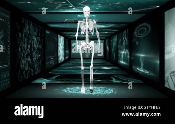 Animation of 3d model of human skeleton walking in hallway of magnetic ...