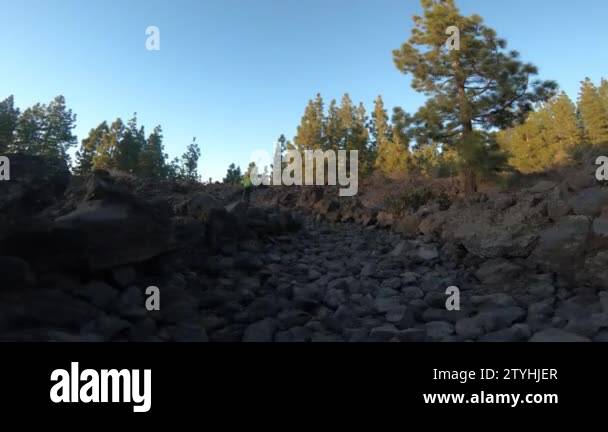 Low level footage of walking across volcanic soil and rocks following ...