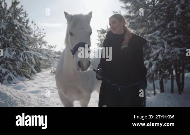 Animal gates Stock Videos & Footage - HD and 4K Video Clips - Alamy