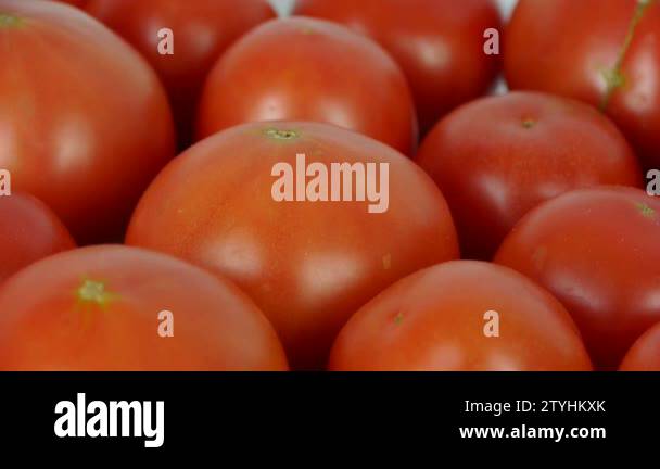 Tomato is a fruit Stock Videos & Footage - HD and 4K Video Clips - Alamy