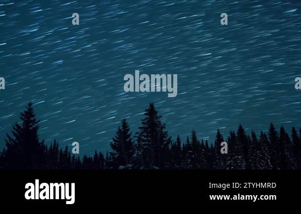 Starry sky in the background of fir trees. Moon rise. Leave traces in ...