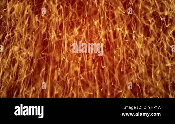 3d falling fire particles, effect of flame, computer generated ...