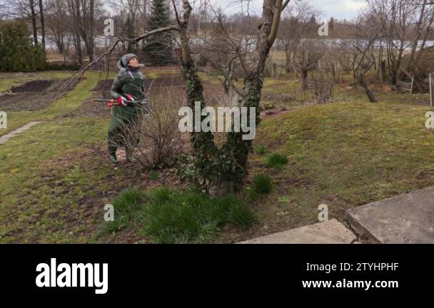 Tree branch cutter Stock Videos & Footage - HD and 4K Video Clips - Alamy