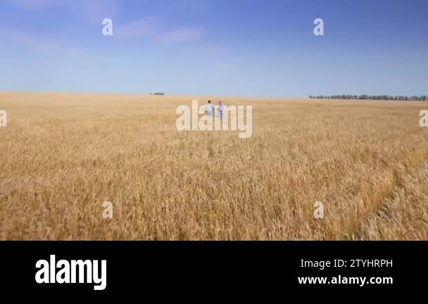Field fare Stock Videos & Footage - HD and 4K Video Clips - Alamy