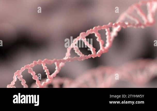 Chromosome dna genetic material Stock Videos & Footage - HD and 4K ...