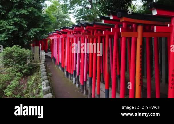 The famous red gate path of Nezu Jinja Shrine in Tokyo Stock Video ...