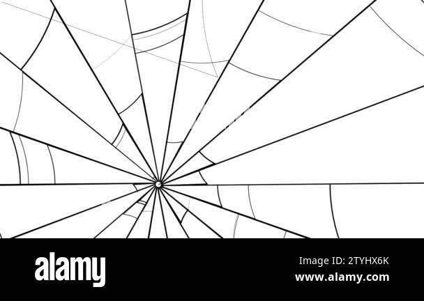 Spider web cartoon Stock Videos & Footage - HD and 4K Video Clips - Alamy