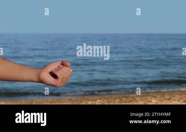Beach study Stock Videos & Footage - HD and 4K Video Clips - Alamy