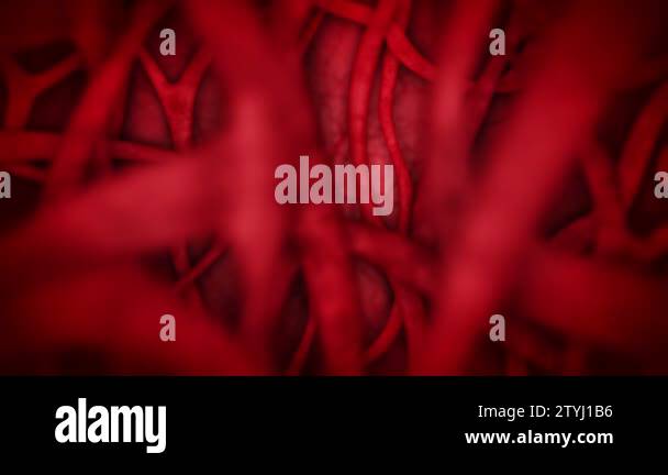 Internal cardio Stock Videos & Footage - HD and 4K Video Clips - Alamy