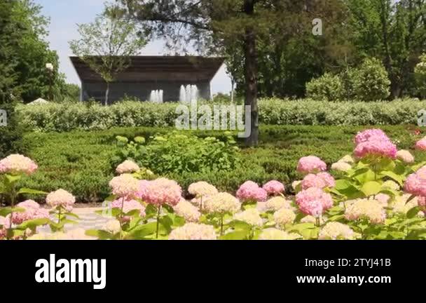 Native plants border Stock Videos & Footage - HD and 4K Video Clips - Alamy