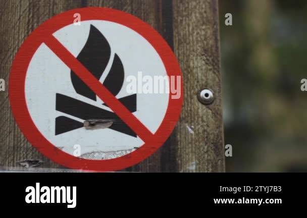 Campfire warning Stock Videos & Footage - HD and 4K Video Clips - Alamy