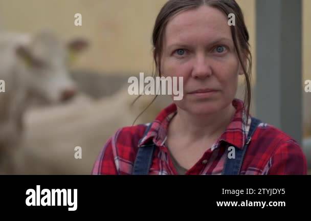 Proud successful farmer at cow dairy farm. Portrait of adult caucasian ...