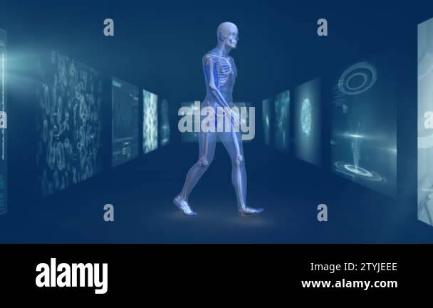 Animation of 3d blue model of human walking in hallway of magnetic ...