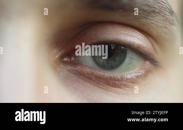 blinking male eye close-up looking around. red artery on the eyeball ...