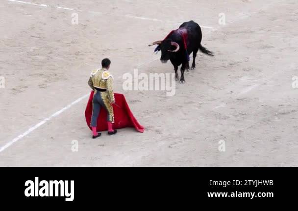 De matador Stock Videos & Footage - HD and 4K Video Clips - Alamy