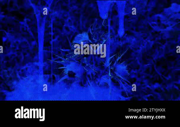 Large dark evil cartoon Stock Videos & Footage - HD and 4K Video Clips ...