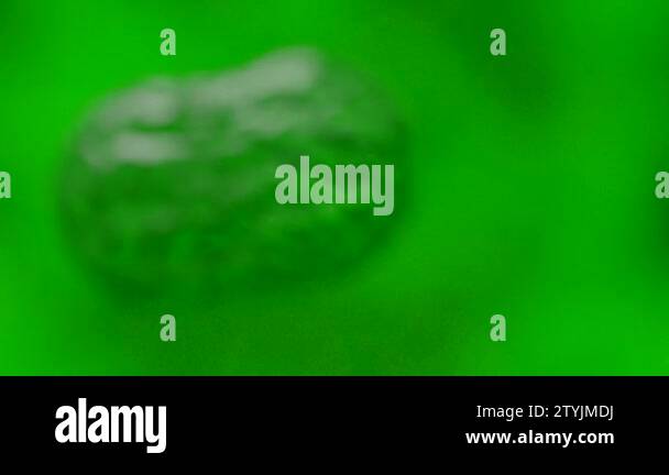 Cells multiplying bacteria virus blood under microscope green bright ...