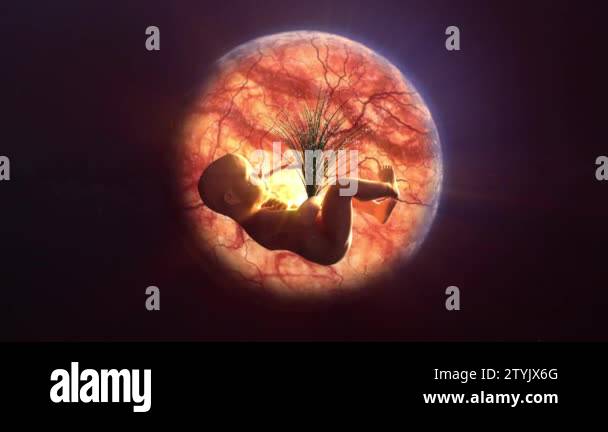 Womb of the earth Stock Videos & Footage - HD and 4K Video Clips - Alamy