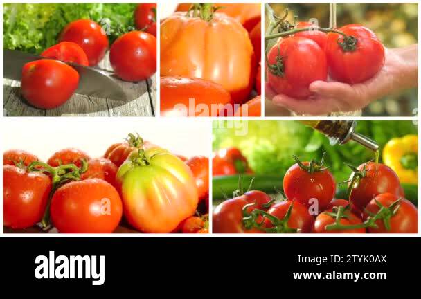 Tomatoes collage Stock Videos & Footage - HD and 4K Video Clips - Alamy